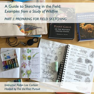 A Guide to Sketching in the Field with Robin Carlson - Part 3, 9 ...