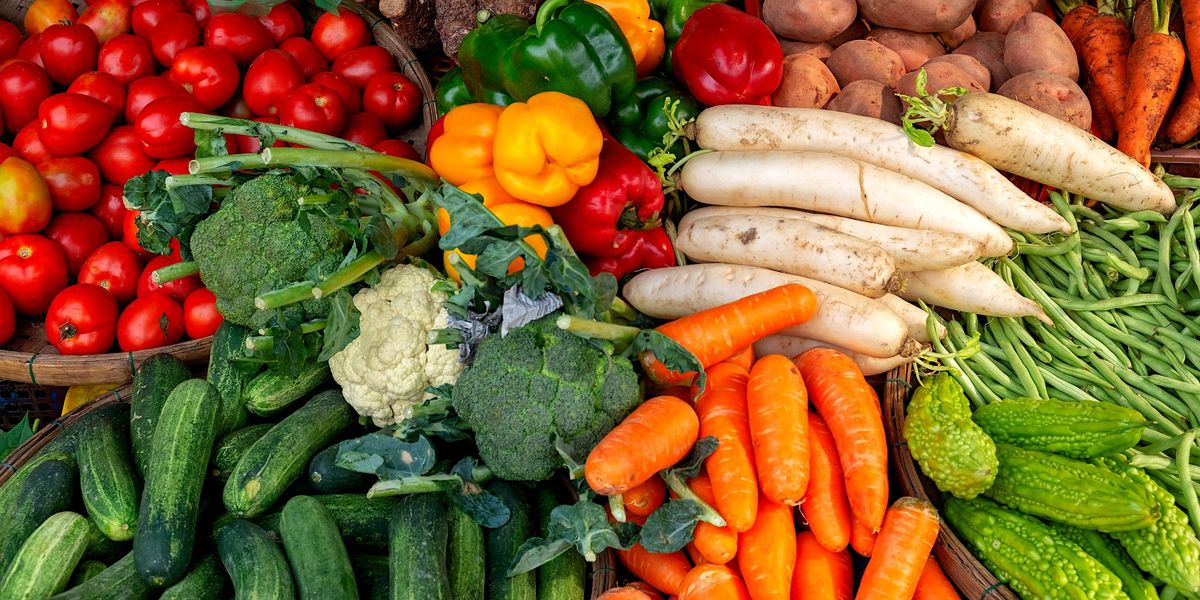 Thinking positive action for local food resilience, Daily Bowl®, Exeter ...