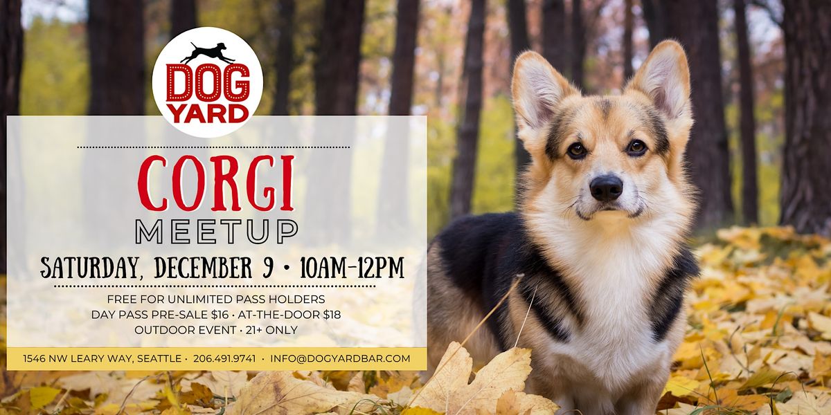 Corgi Meetup at the Dog Yard Bar in Ballard - Saturday, December 9, Dog ...