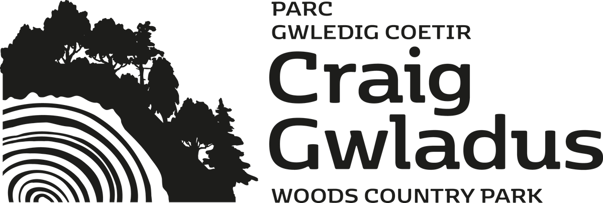 Winter Solstice / Yule Crafts - Creative Play sessions for U12s, SA10 ...