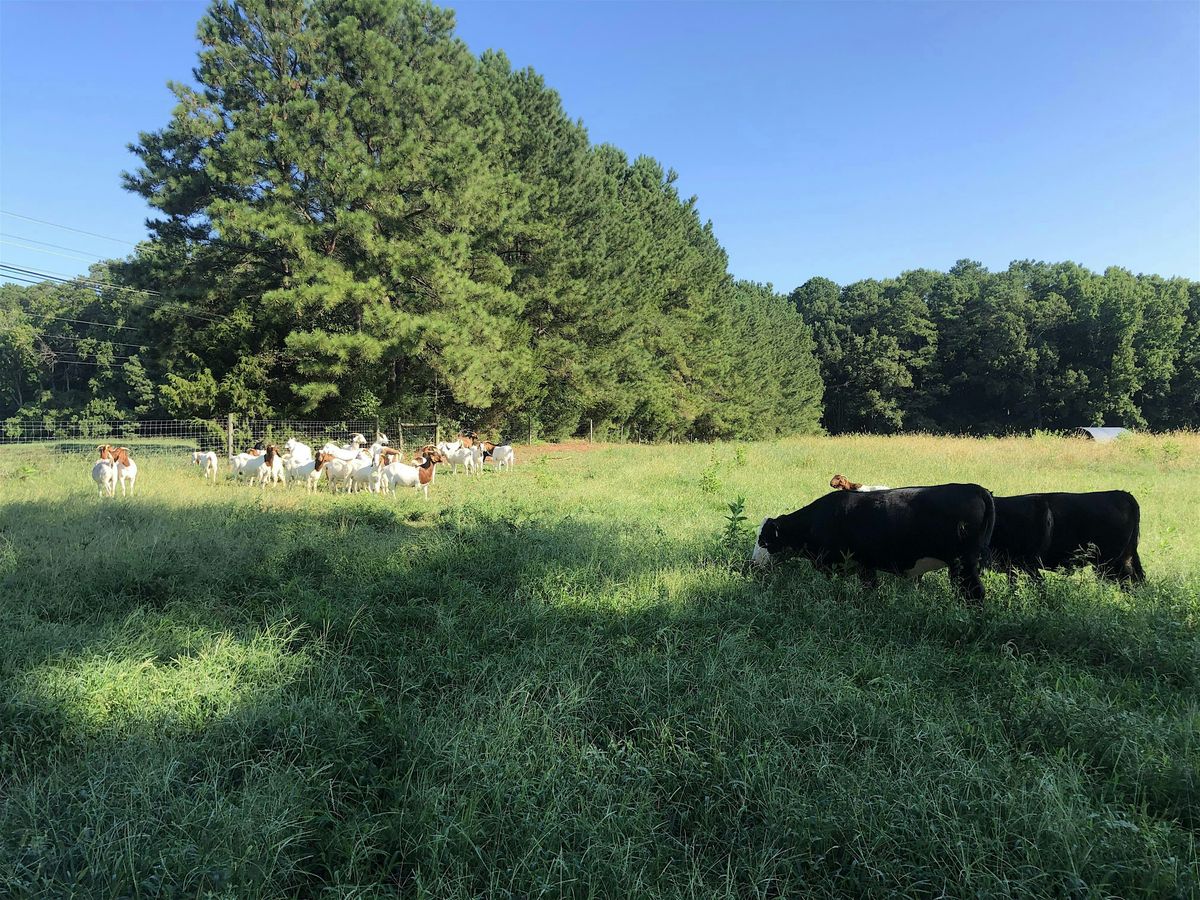 Multispecies Forage and Grazing Fall Field Day, J.C. Howard Farms, Pink ...