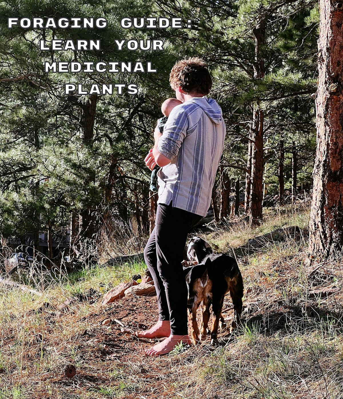 Free Foraging Walk - Learn Your Native Plants!, Boulder, 20 April 2024 ...