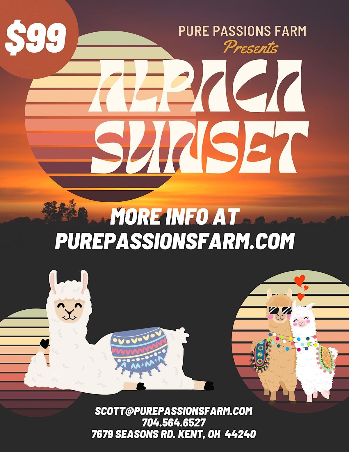 Alpaca Sunset, Pure Passions Farm, Kent, 8 December 2023 | AllEvents