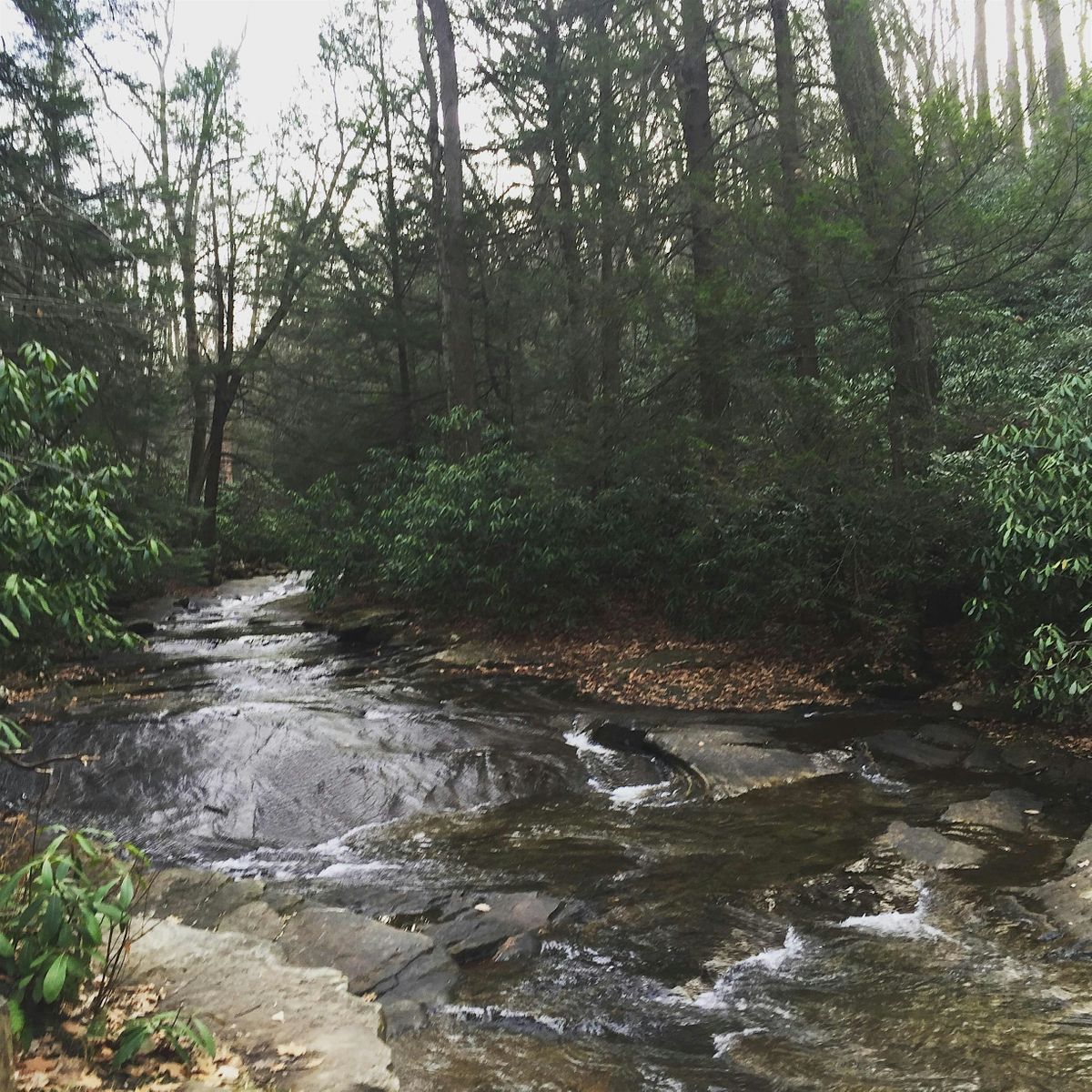 We Hike to Heal with 52 Hike Challenge Pennsylvania at Linn Run State ...