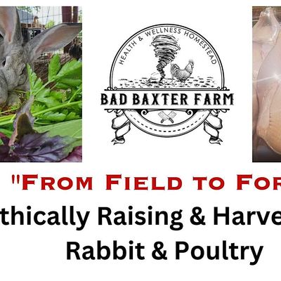 Raising and Harvesting Rabbit and Poultry, Bad Baxter Farm, Tribbey, 7 ...