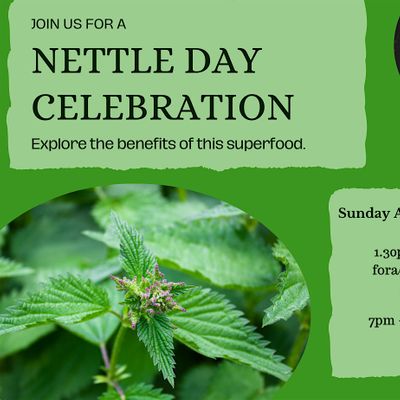 A Nettle Day - part one, Kilmallie Community Centre, Corpach, 14 April ...