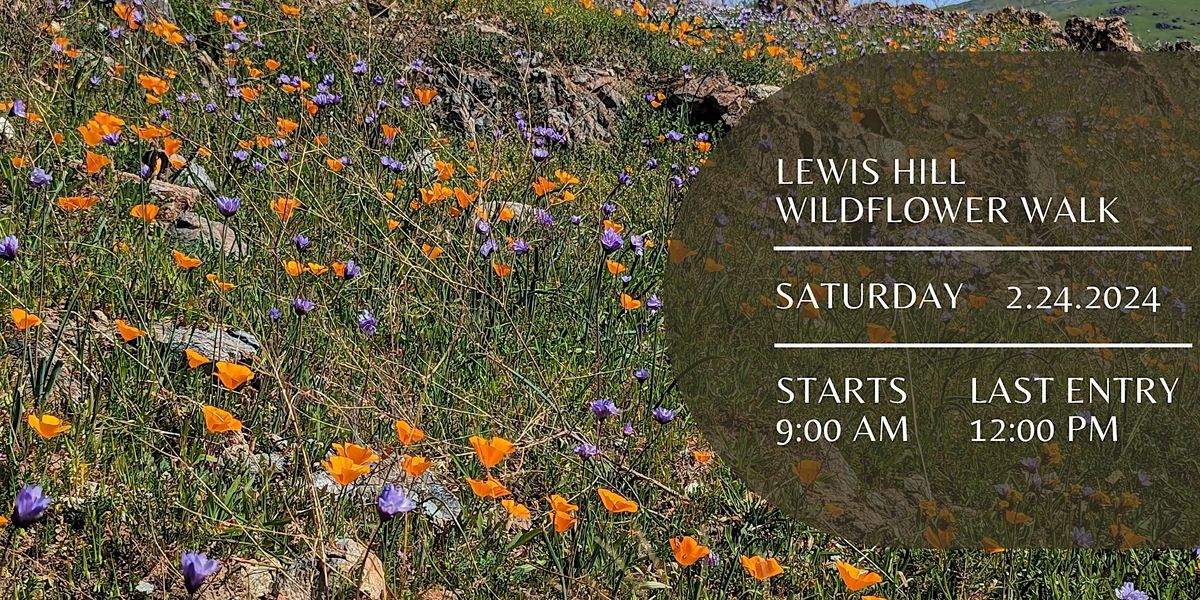 Wildflower Walk at Lewis Hill Preserve, 24 February 2024 | AllEvents