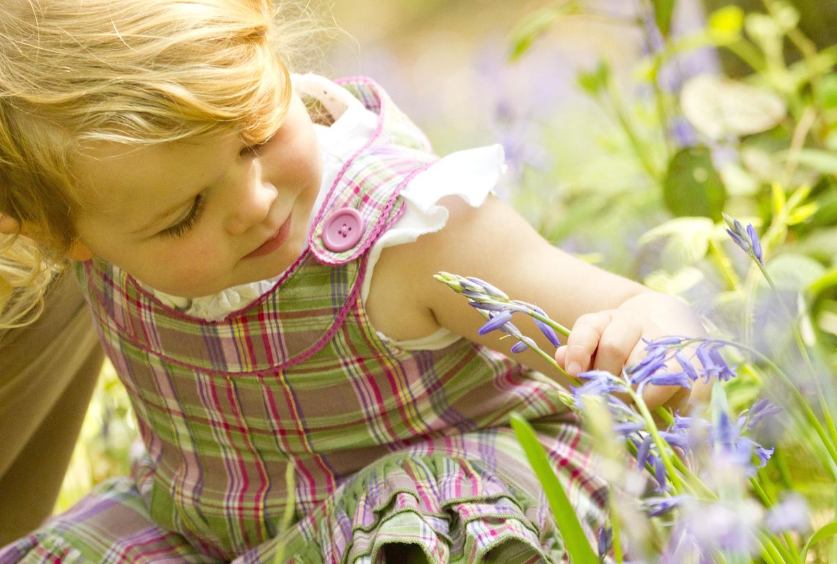Wild Tots (ELC 2814), Lackford Lakes Nature Reserve, Bury St Edmunds ...