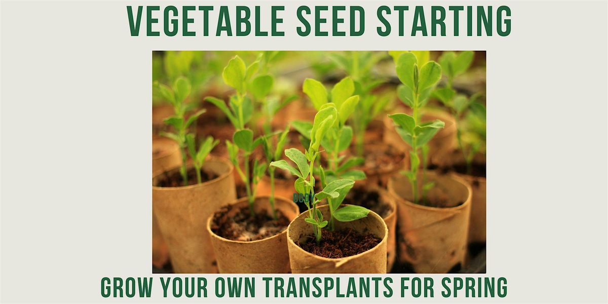 Spring Vegetable Seed-Starting Workshop, Duval County Extension Urban Garden Field Office ...