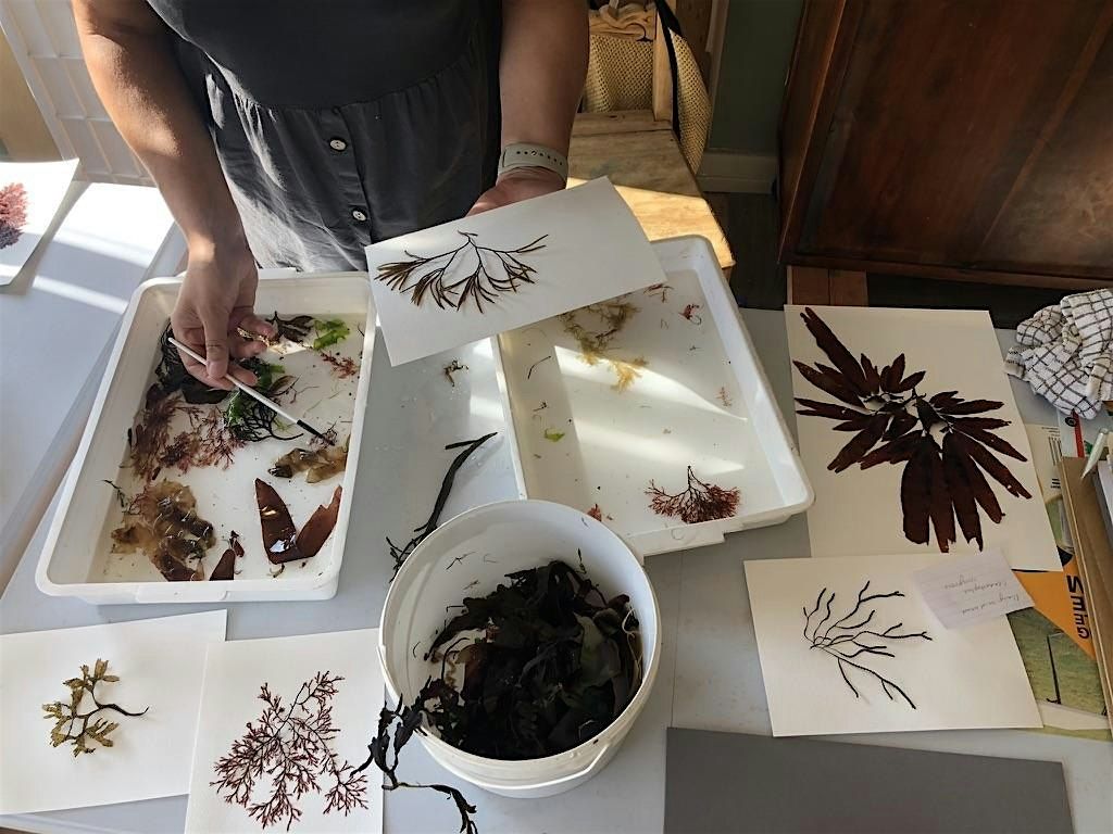 Seaweed Pressing Workshop - Spring, The Workshop, Whitley Bay, 27 April ...
