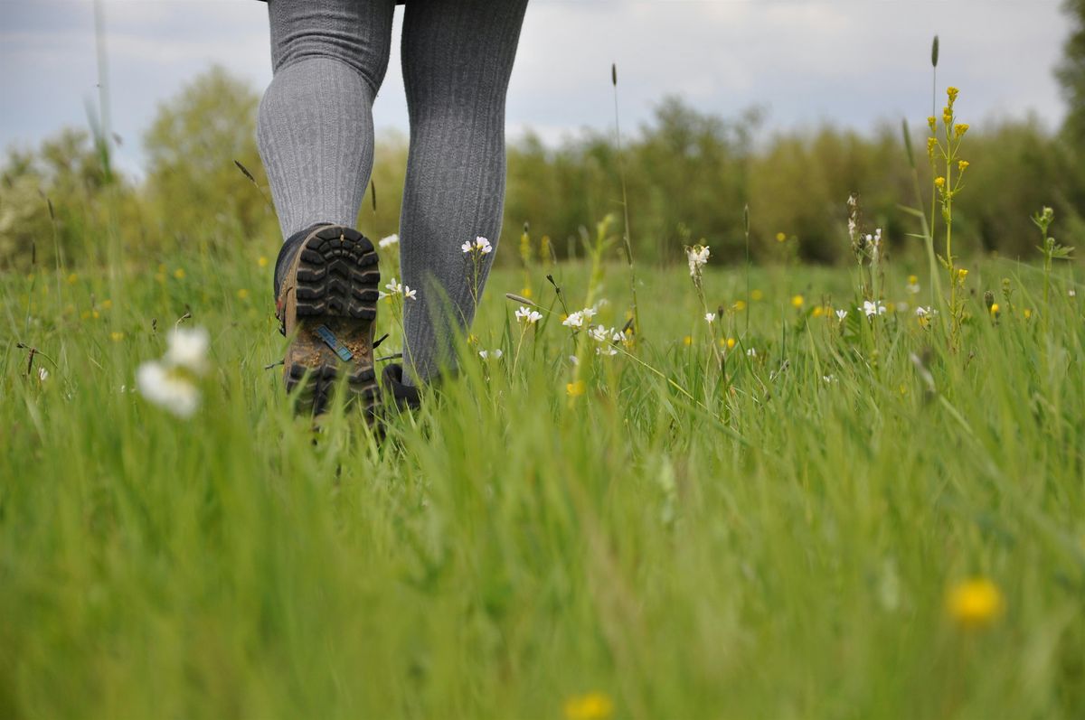 Local Volunteer Event: Royal Victoria Country Park, Netley, & Hamble ...