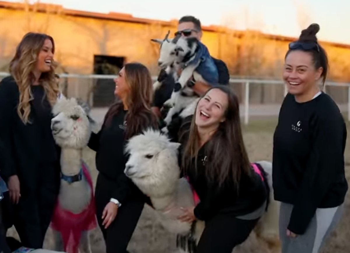 80’s Goat & Alpaca Yoga + Cow Cuddling, 26601 S Val Vista Dr, Gilbert ...