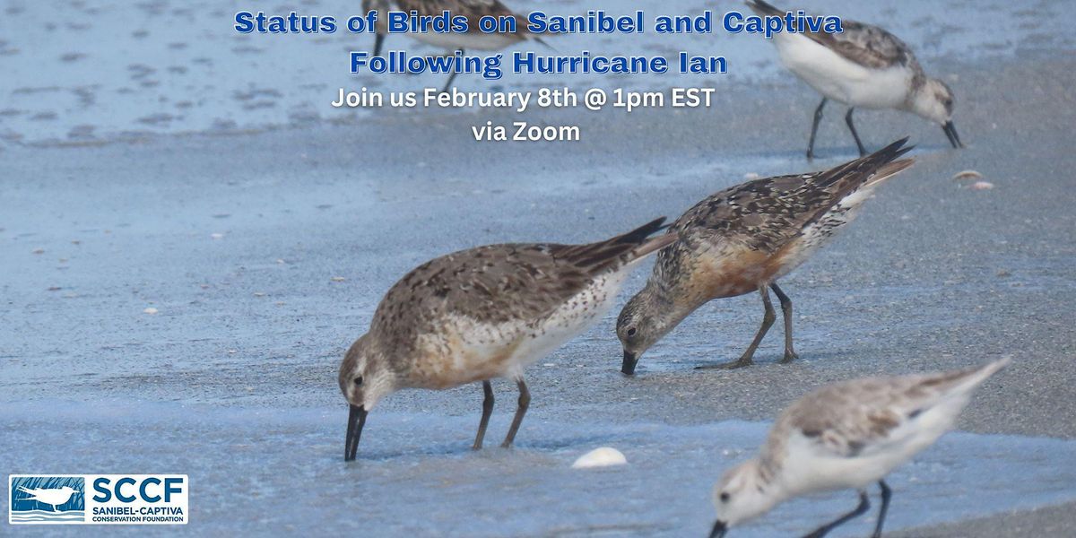 2023 CROW Speaker Series- Status of Birds Following Hurricane Ian ...