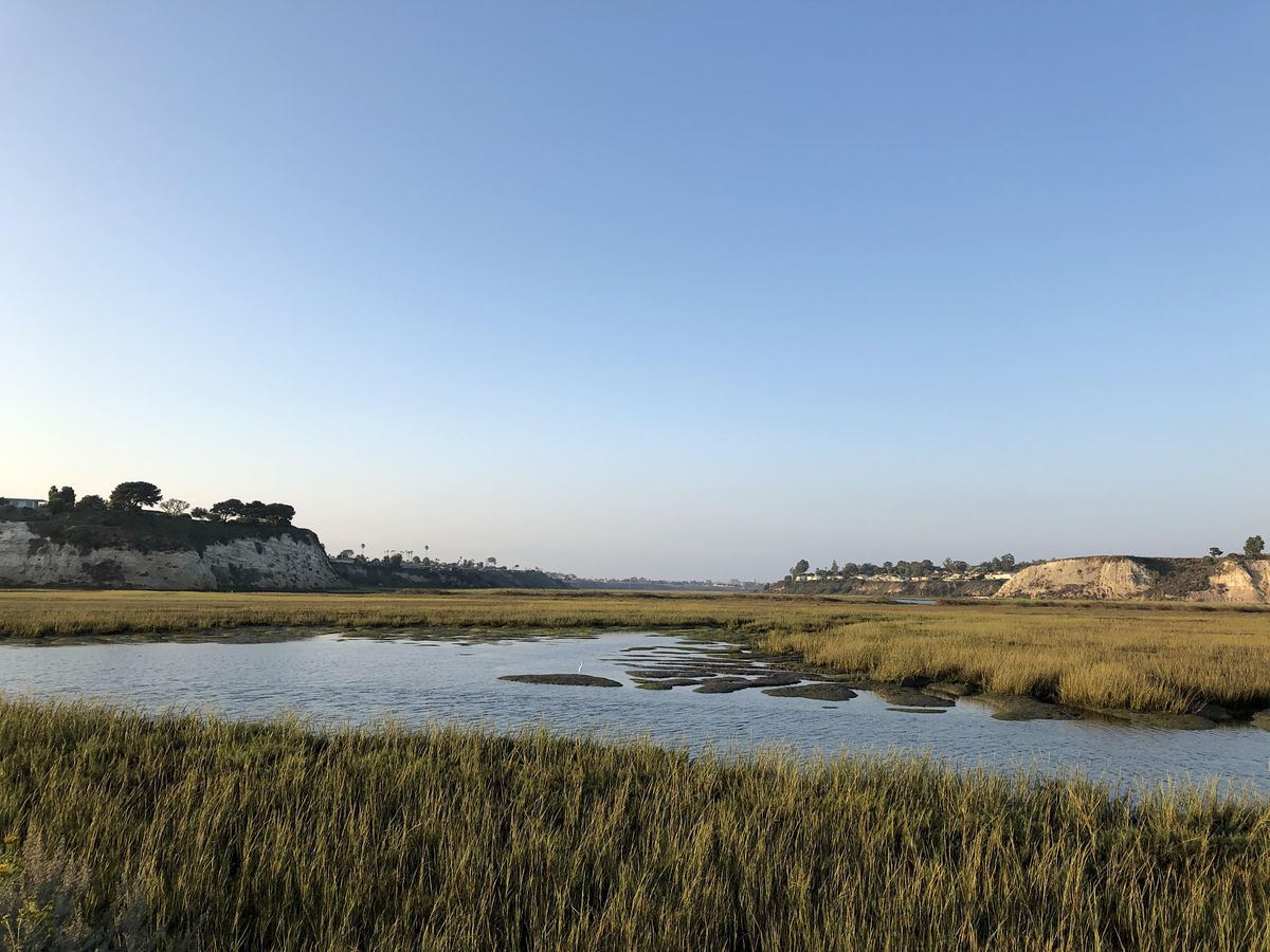 Upper Newport Bay W**d Warrior Volunteer Training, Back Bay Science ...