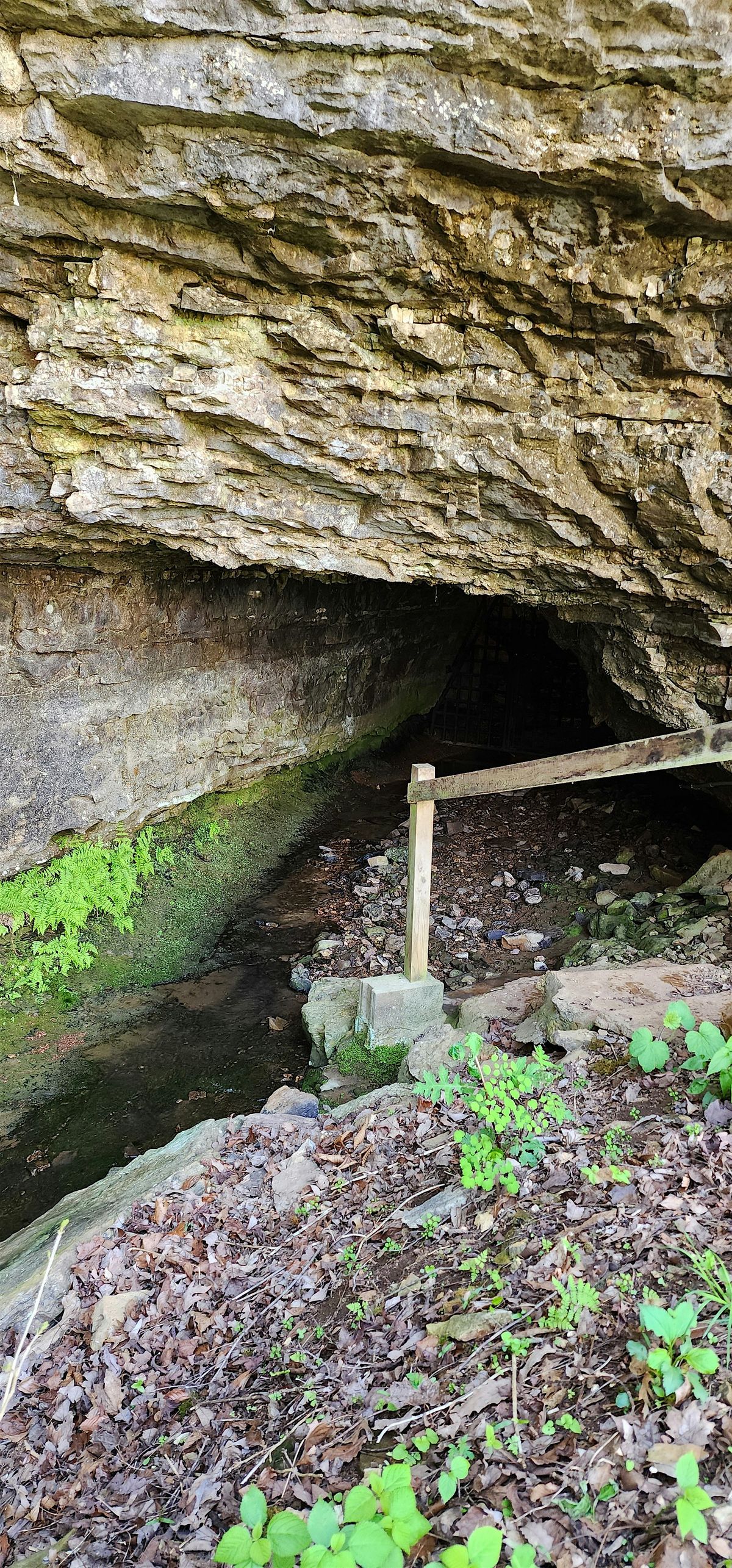July Bell Witch Cave and Farm Public Investigation, Bell Witch Cave ...