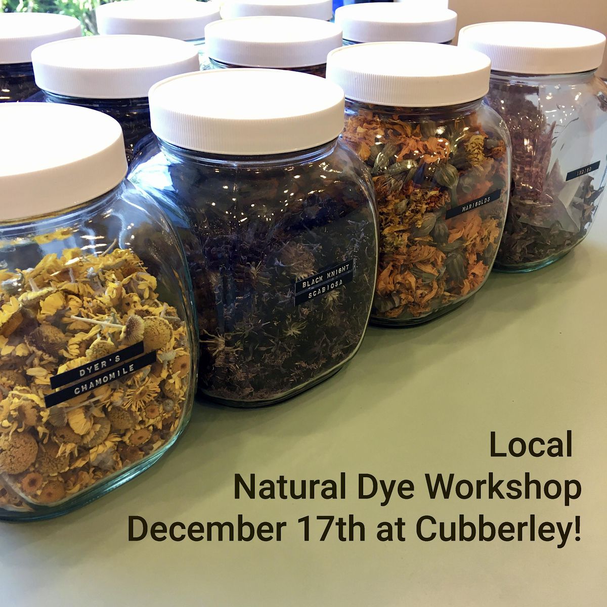 Local Natural Dye Workshop, Cubberley Artists Studio Program, Palo Alto ...