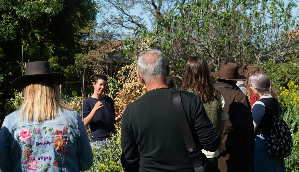 R.A.W. Workshops - Edible, Wild and Spiritual Gardening with Leila, RAW ...
