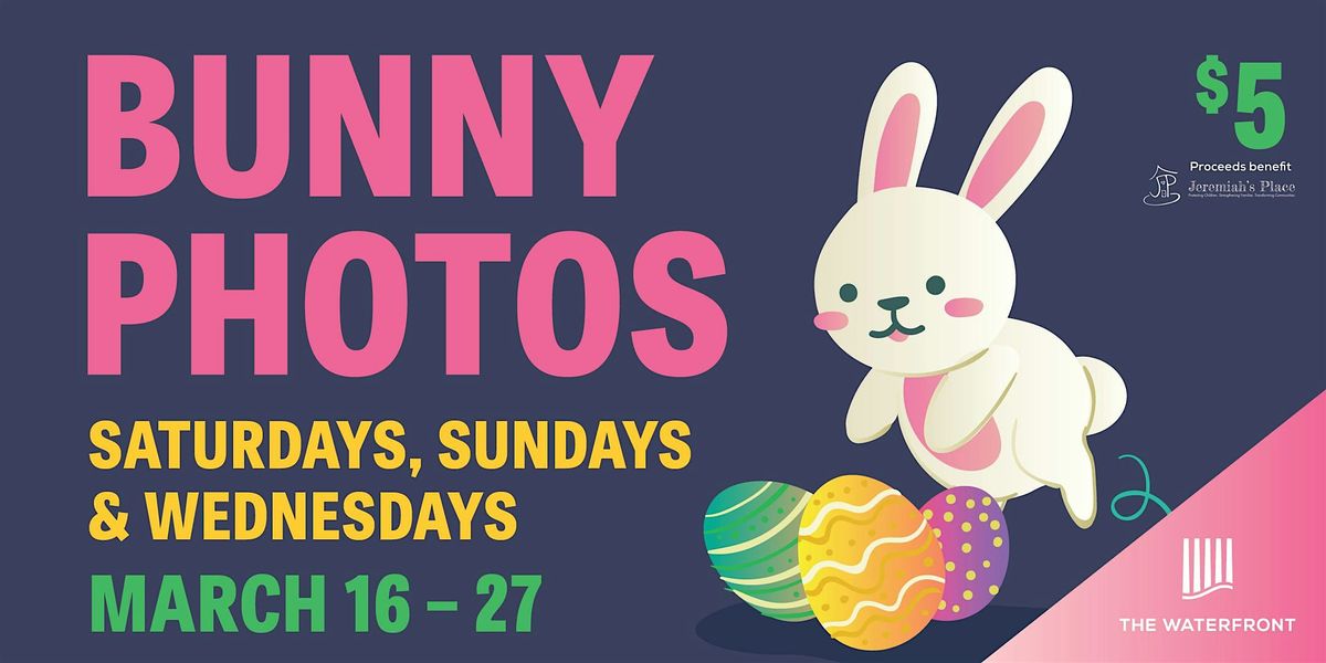 Bunny Photos at the Waterfront!, The Waterfront, Homestead, 16 March to ...