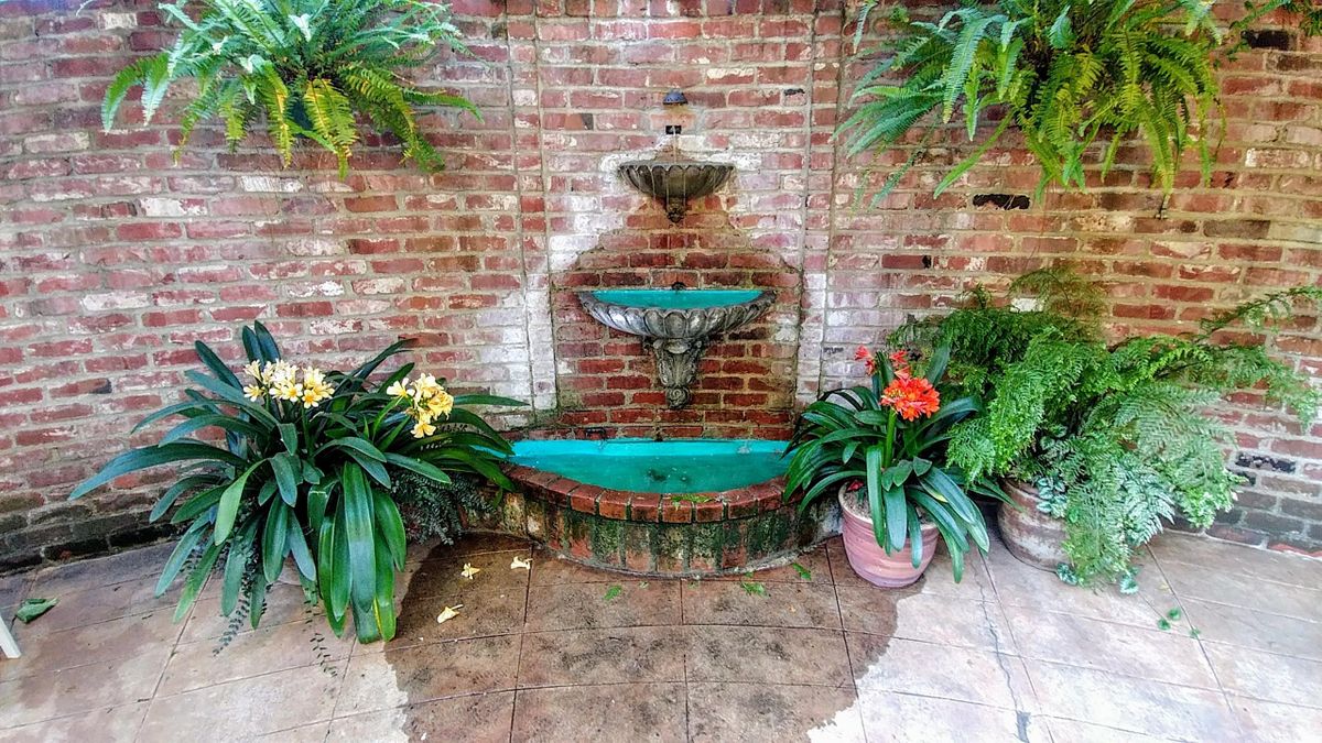 January Tour of Elizabeth F. Gamble Garden: Inspired by Water ...