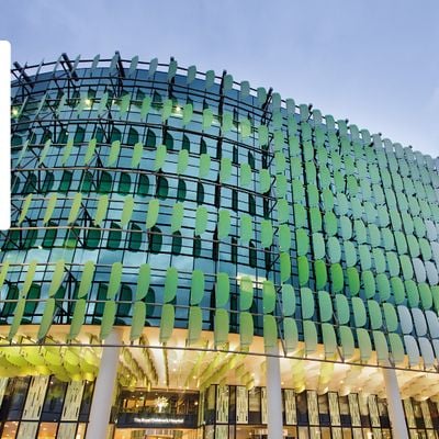 neoResus Advanced Resuscitation Program, The Royal Children's Hospital ...