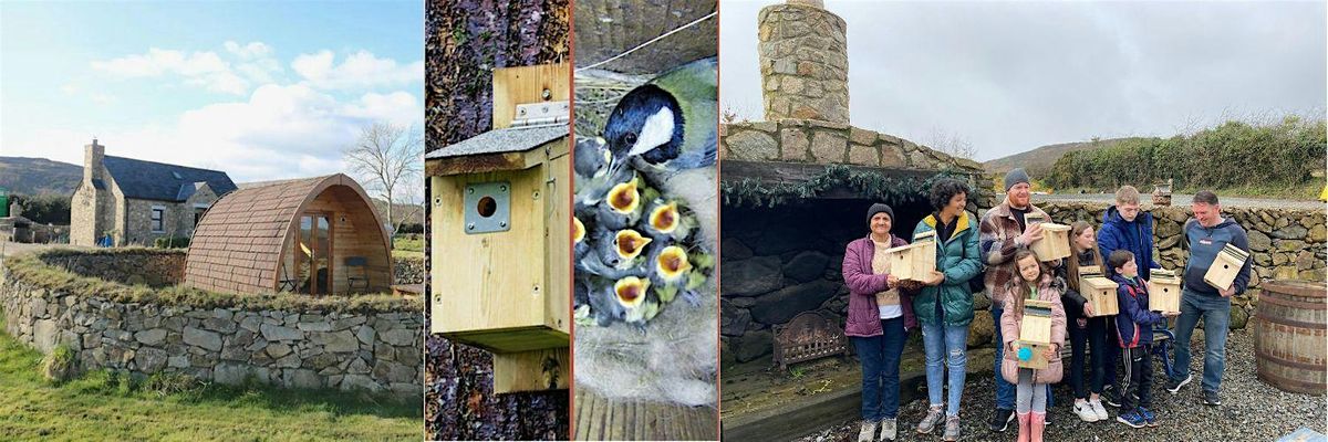 Nestbox Building Workshop, Ring of Gullion 2024, Bluebell Lane Glamping ...