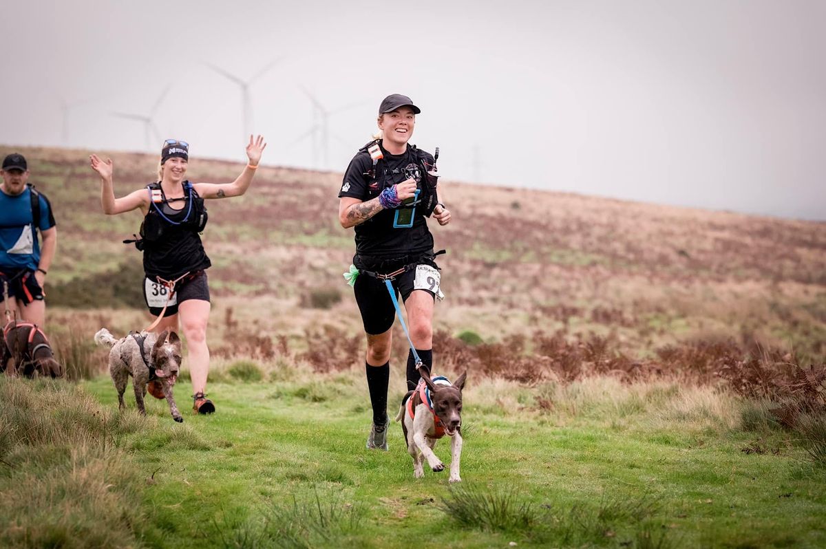 ULTRA CANI-TRAIL #3 (REVERSE ROUTE), Llanharan Welfare Hall & Fields ...