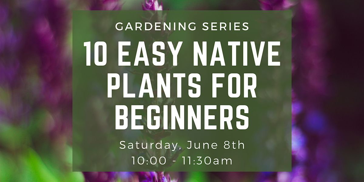 Gardening Series:10 Easy Native Plants for Beginners, Cornucopia ...