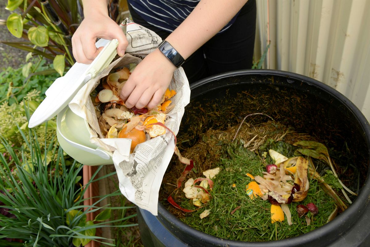 Worm farming and composting workshop - August 2024, Sustainability Hub ...