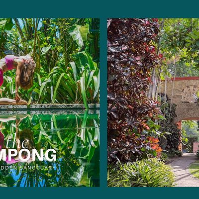 Yoga at the Kampong Botanical Gardens (Coconut Grove), The Kampong ...