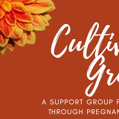 Cultivating Grace Support Group - Healthy Start Brooklyn, Brownsville ...