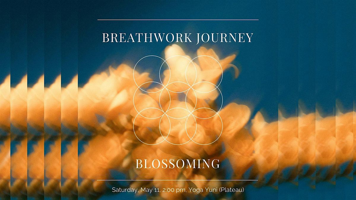 Breathwork Journey: Blossoming, Yoga Yuni, Montréal, 11 May 2024 ...