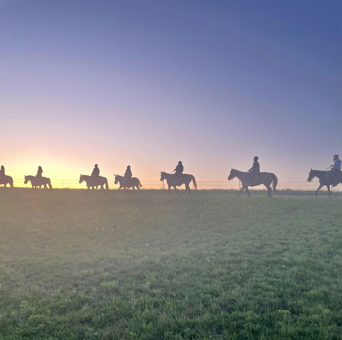 Moonlight Horseback Ride + Bonfire, Tarot, and Chili Supper Aug 23rd ...