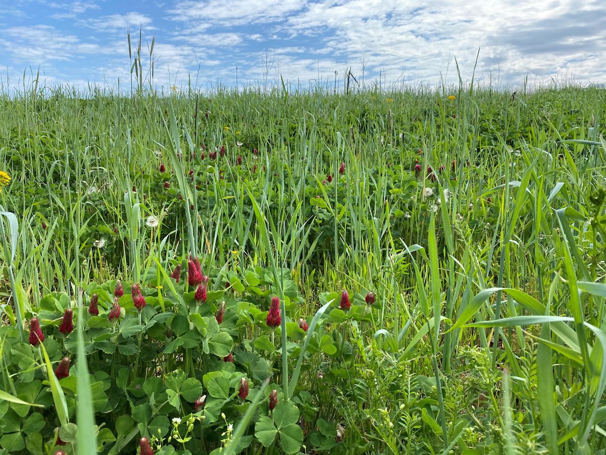 Conservation Across Generations - Field Day at Valley View Farms, 8550 ...