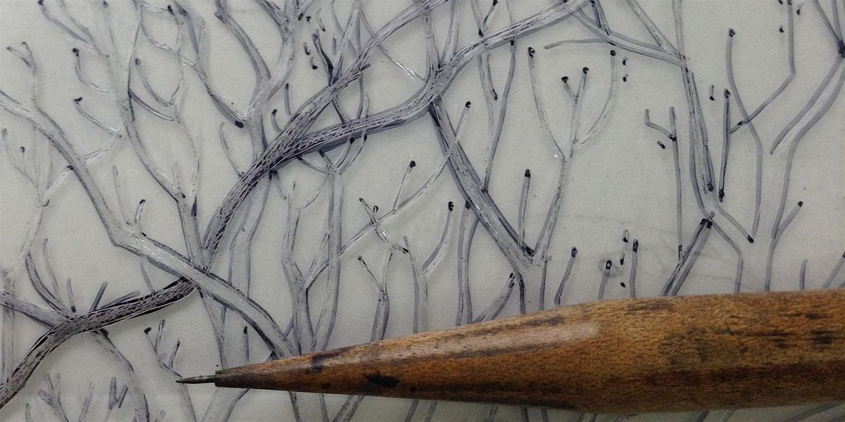 Create a print: Drypoint Etching with Theresa Pateman, Tenby Museum and ...