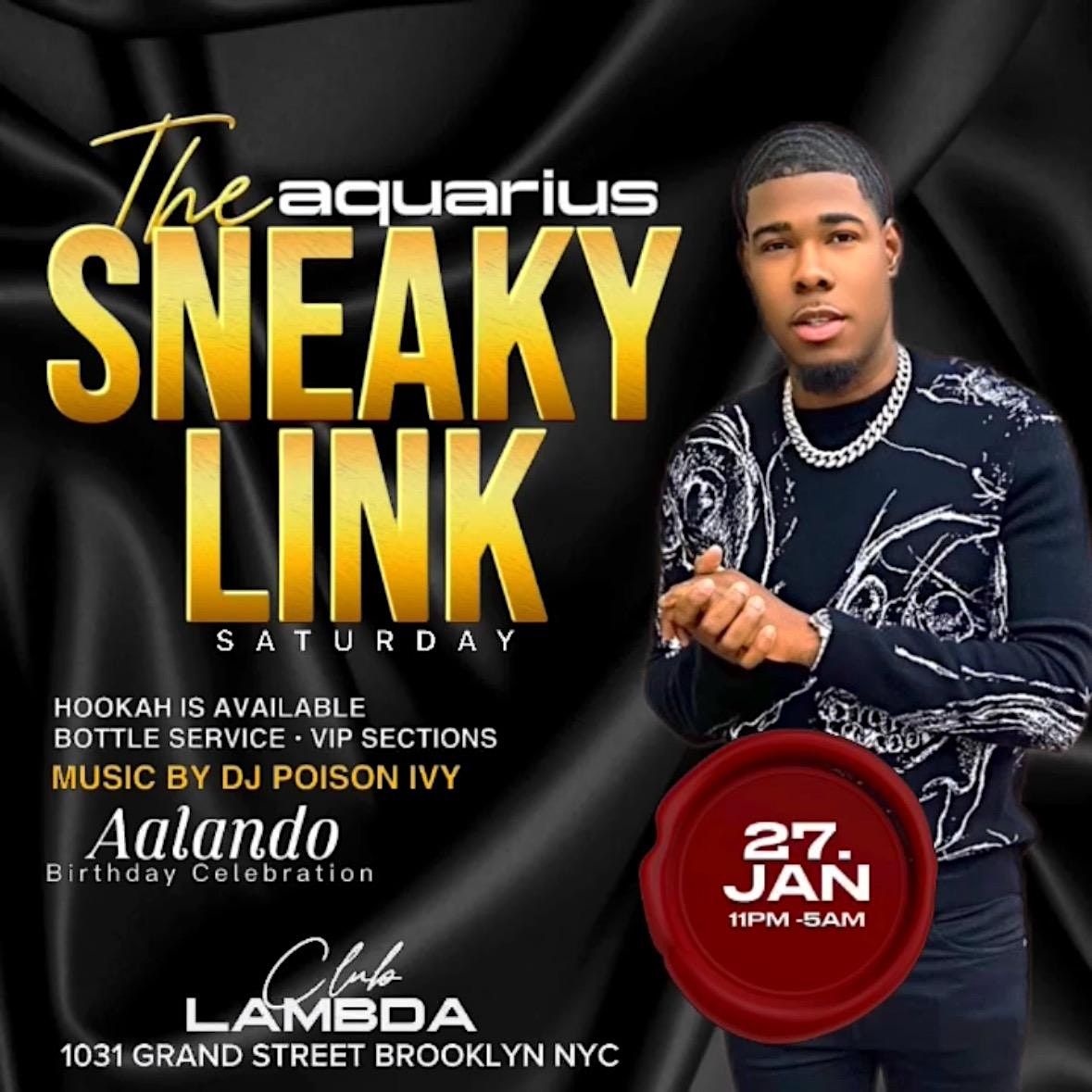 SNEAKY LINK SATURDAY, 1031 Grand St, Brooklyn, 27 January to 28 January ...