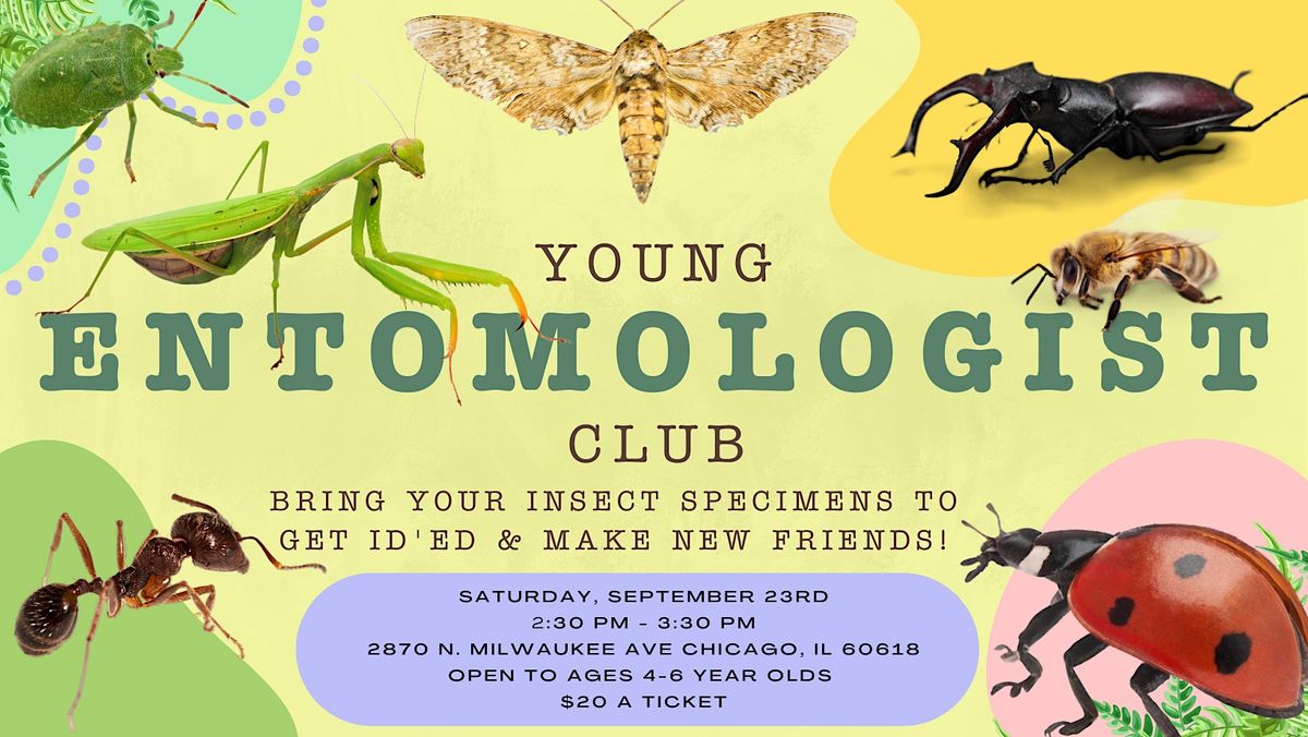 Entomologist Inside