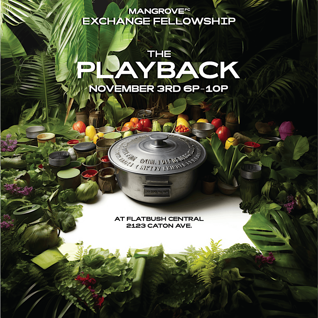 The Playback: Mangrove Exchange Fellowship Culmination Event, 2123 Caton Ave, Brooklyn, 3 ...