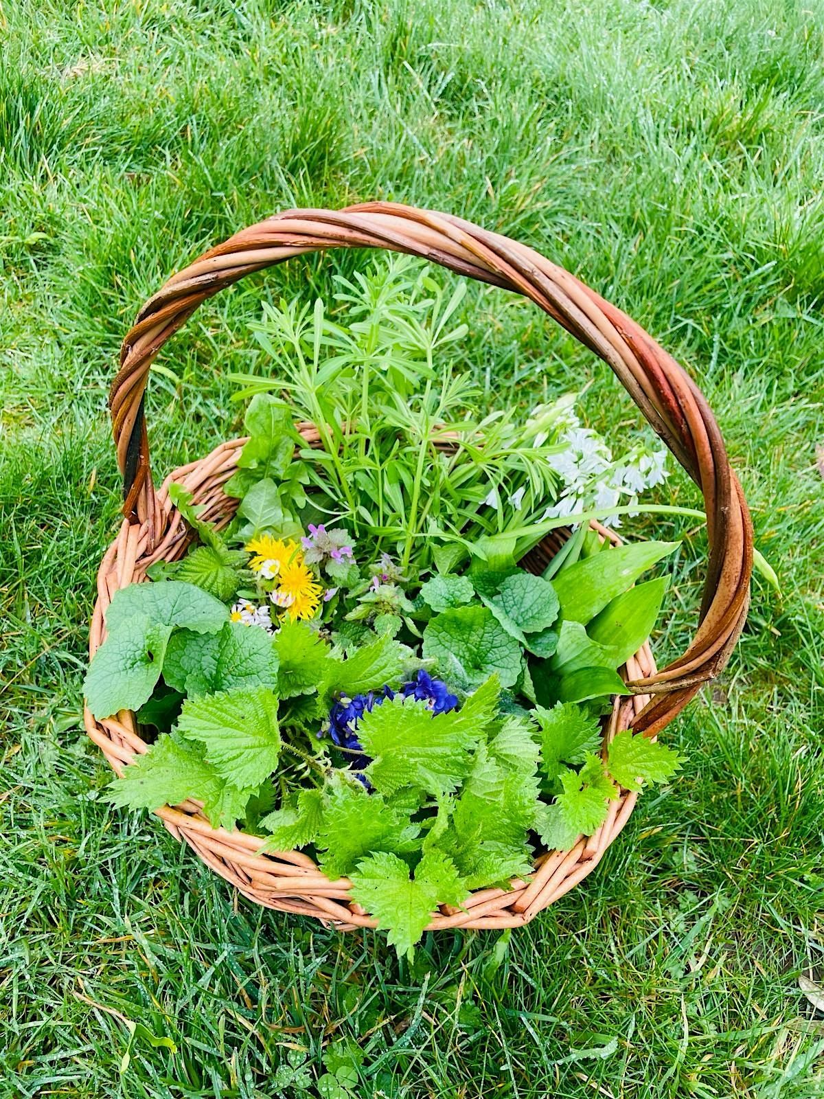 Wild and Alive Spring Forage & Ferment Workshop, BN44, Steyning, 21 ...