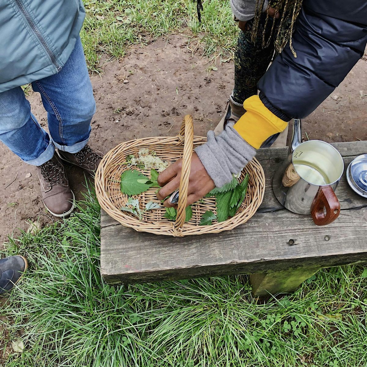 Spring Foraging Walk - wild edible and medicinal plants of Eastwood ...