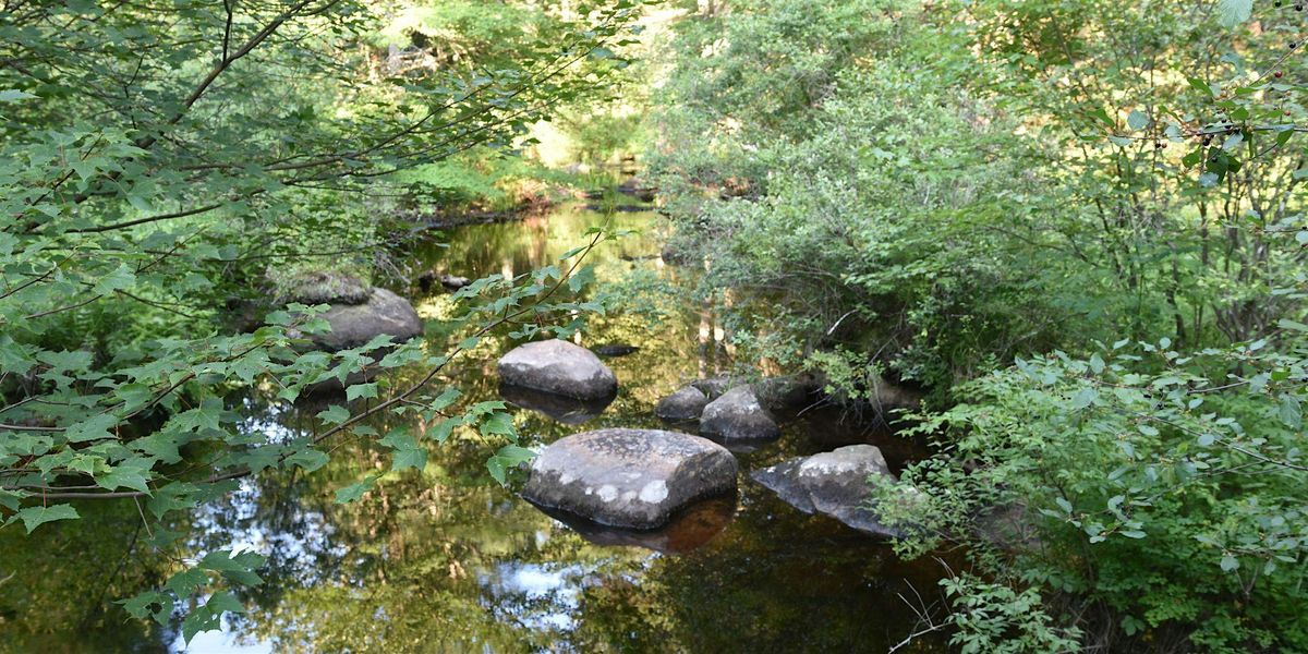 Ecospiritual Immersion, Unity, 13 April 2024 | AllEvents