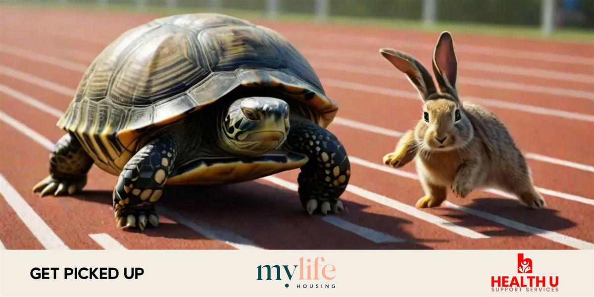 Bunny and Turtle Walk - NDIS Networking Event, Waterview Café, Sydney ...