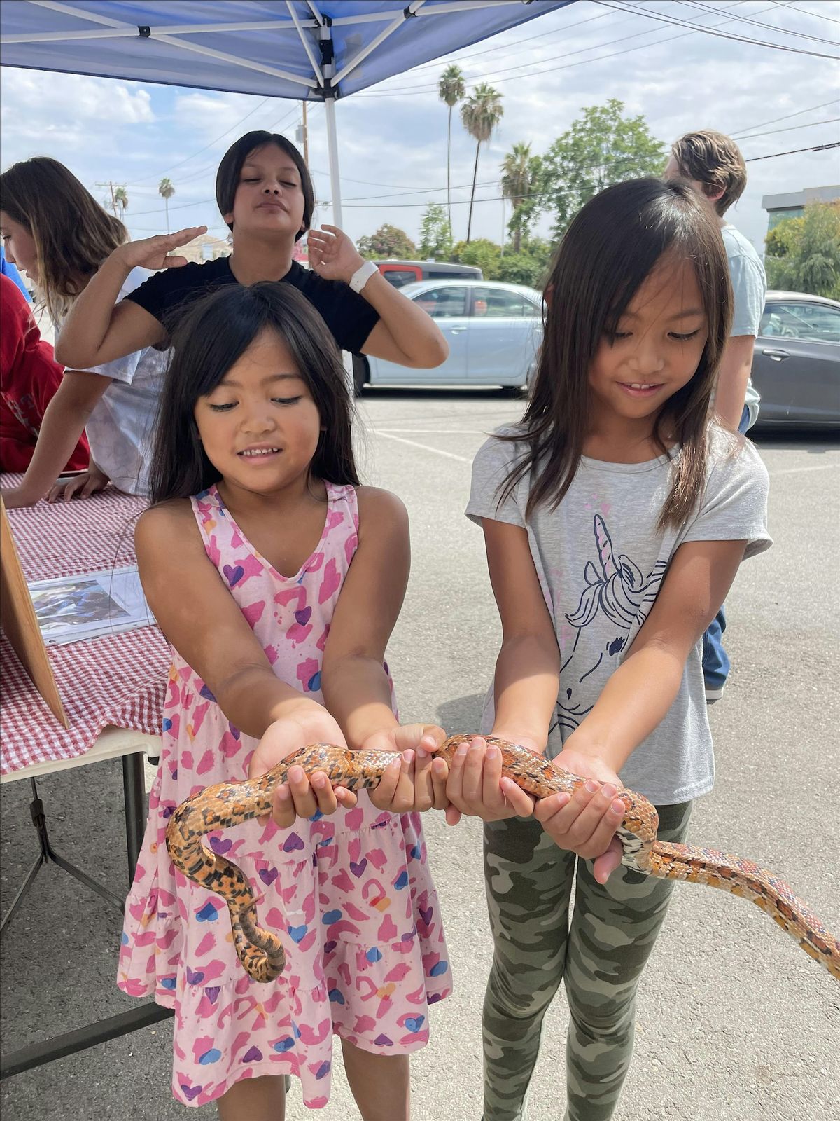 DIY Snake Theme Soap & Reptile Show and Rattlesnake Safety with Live ...
