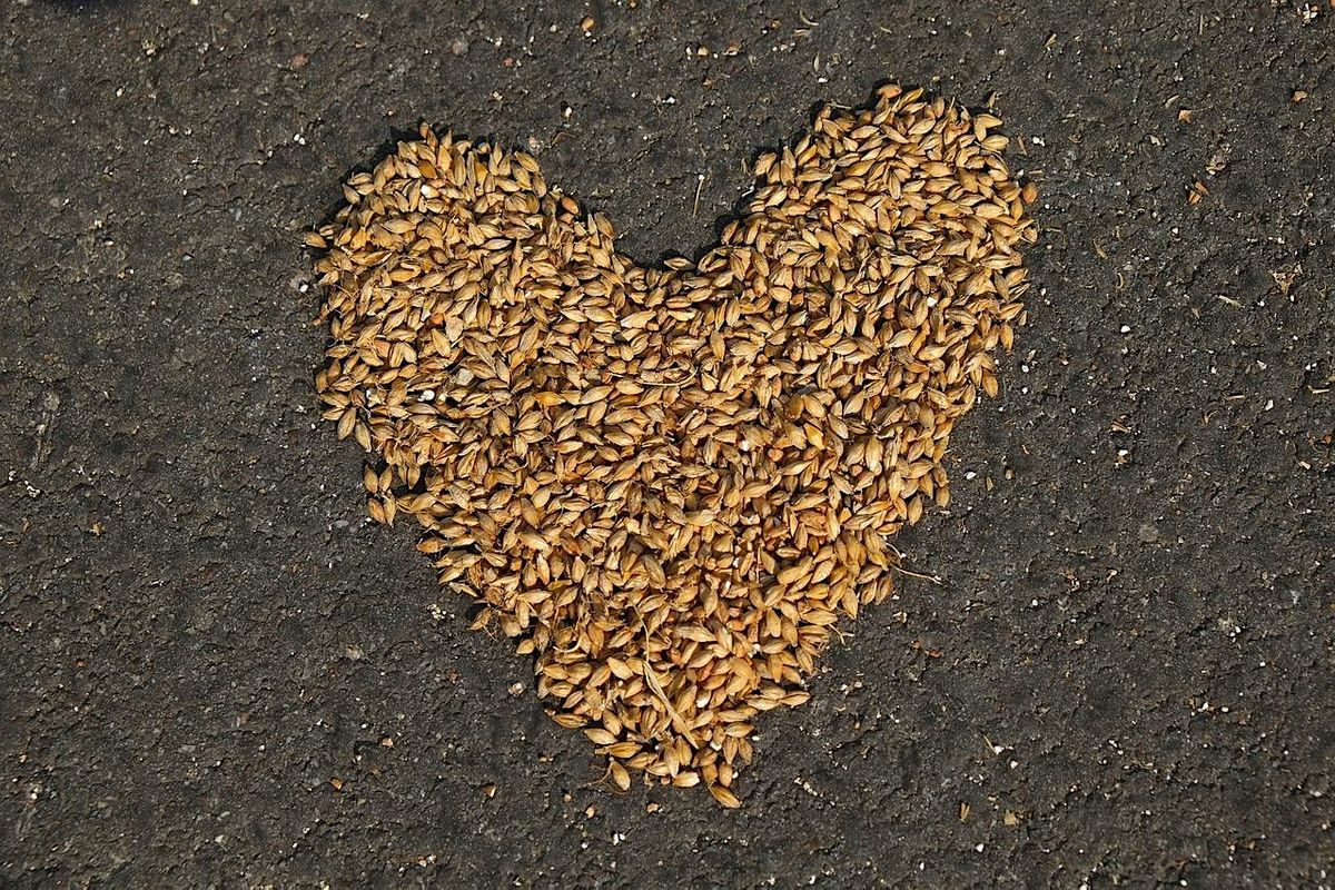 Ephemeral Art in Nature, Friends Wilderness Center, Harpers Ferry, 12 ...
