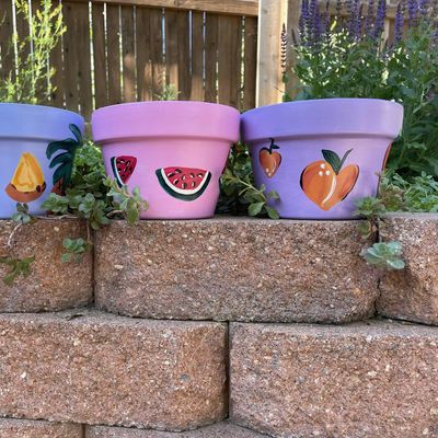 Plant Pot Painting Class, East Quincy Highlands, Aurora, 30 June 2024 ...
