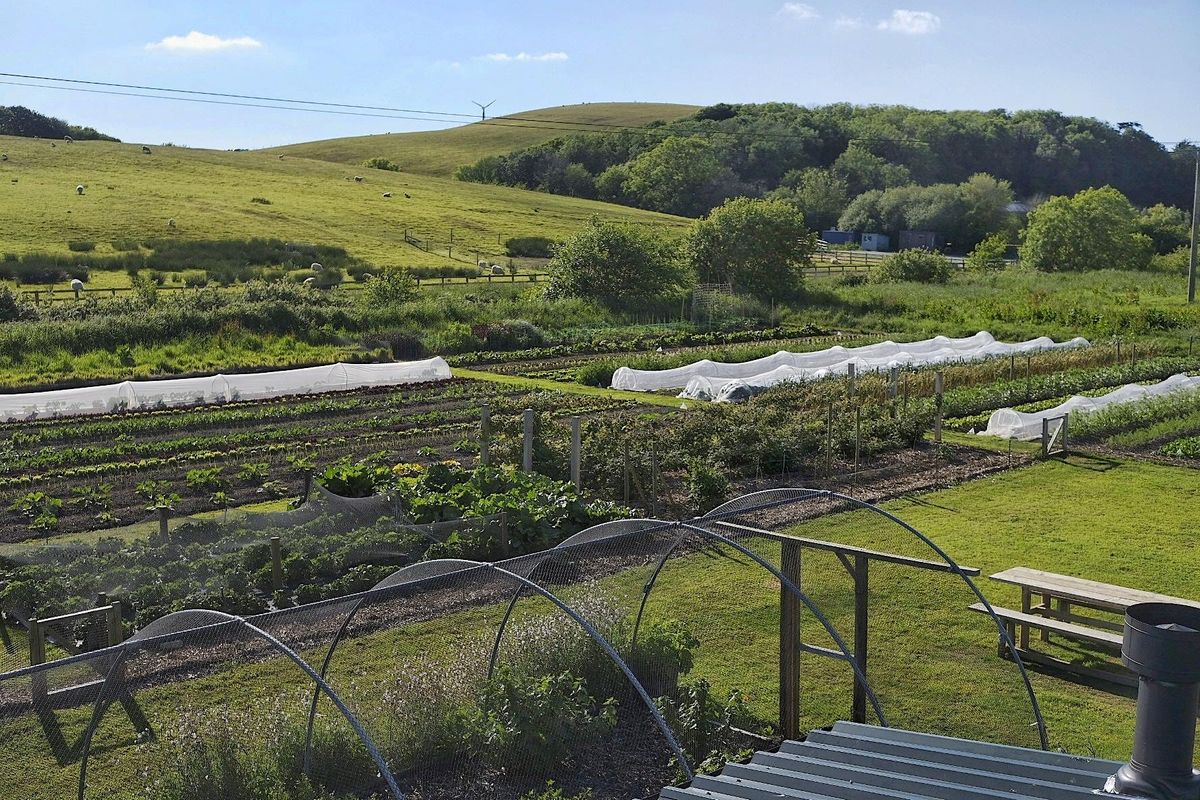 Seasonal Vegetable Growing Course, Neetfield Market Garden ...