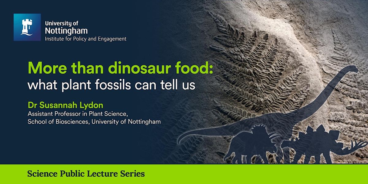 More than dinosaur food: what plant fossils can tell us, B1, School of ...