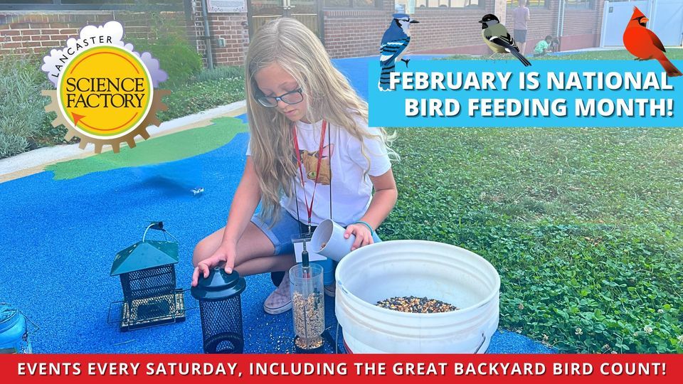 National Bird Feeding Month: Bird Beak Buffet at the Science Cafe, The ...