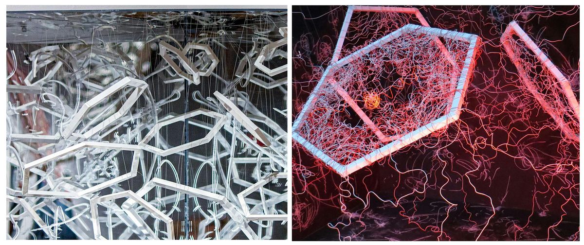 The Process of Discovery | Julie Rotblatt Amrany Opening Reception ...