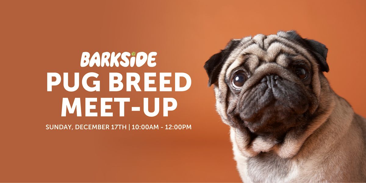 Pug Meet-Up @ Barkside, 7960 Kercheval, Detroit, MI, USA, 17 December ...