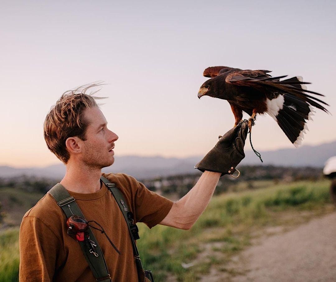 Hawk on Hand Falconry Demonstration, Ivy Station, Culver City, 4 ...